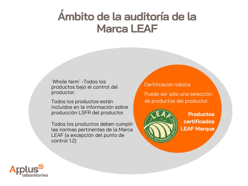 GLOBAL G.A.P. Actualizaciones en los Esquemas de Certificación para productos vegetales